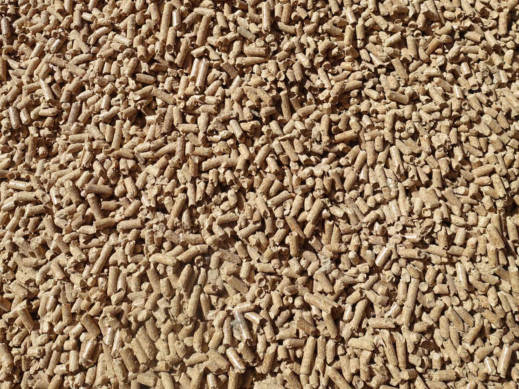 Webinaire "Granulé" gratuit dédié aux conseillers en énergies - Fibois ...